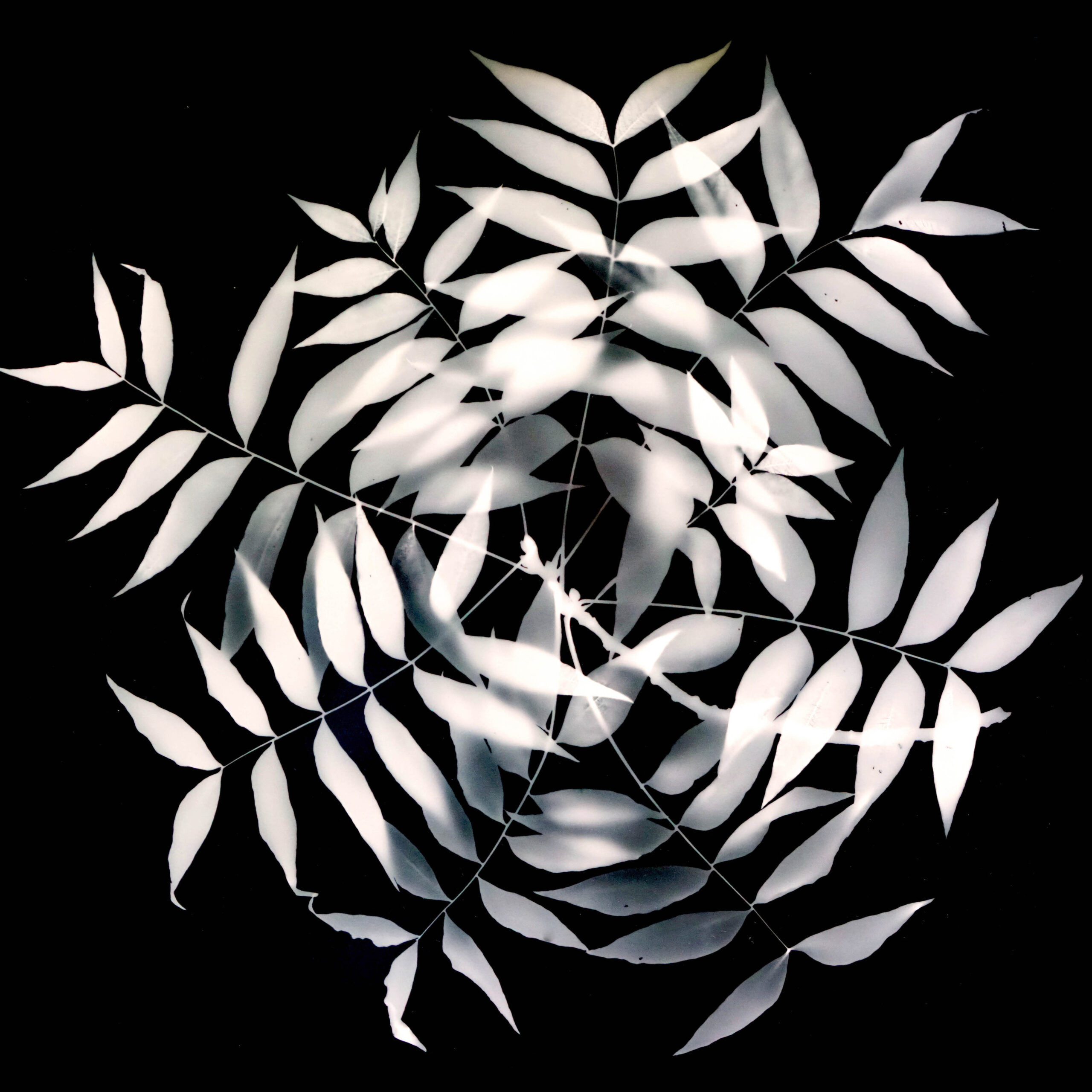 Ann Beason and Merri Lawrence: Silver Linings - Visual Arts Center of ...