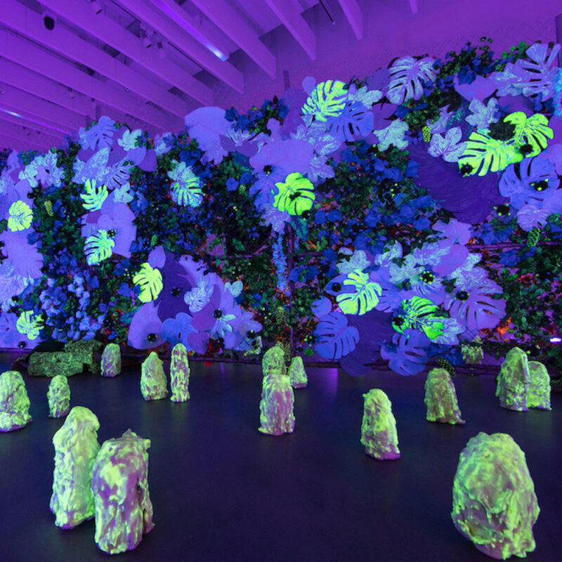 Current Exhibitions - Visual Arts Center of New Jersey